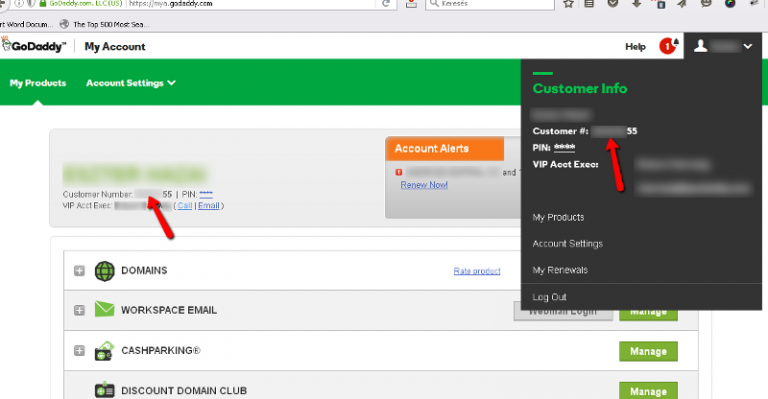 GoDaddy customer number: Where is it and what is it good for? – Domain Tips